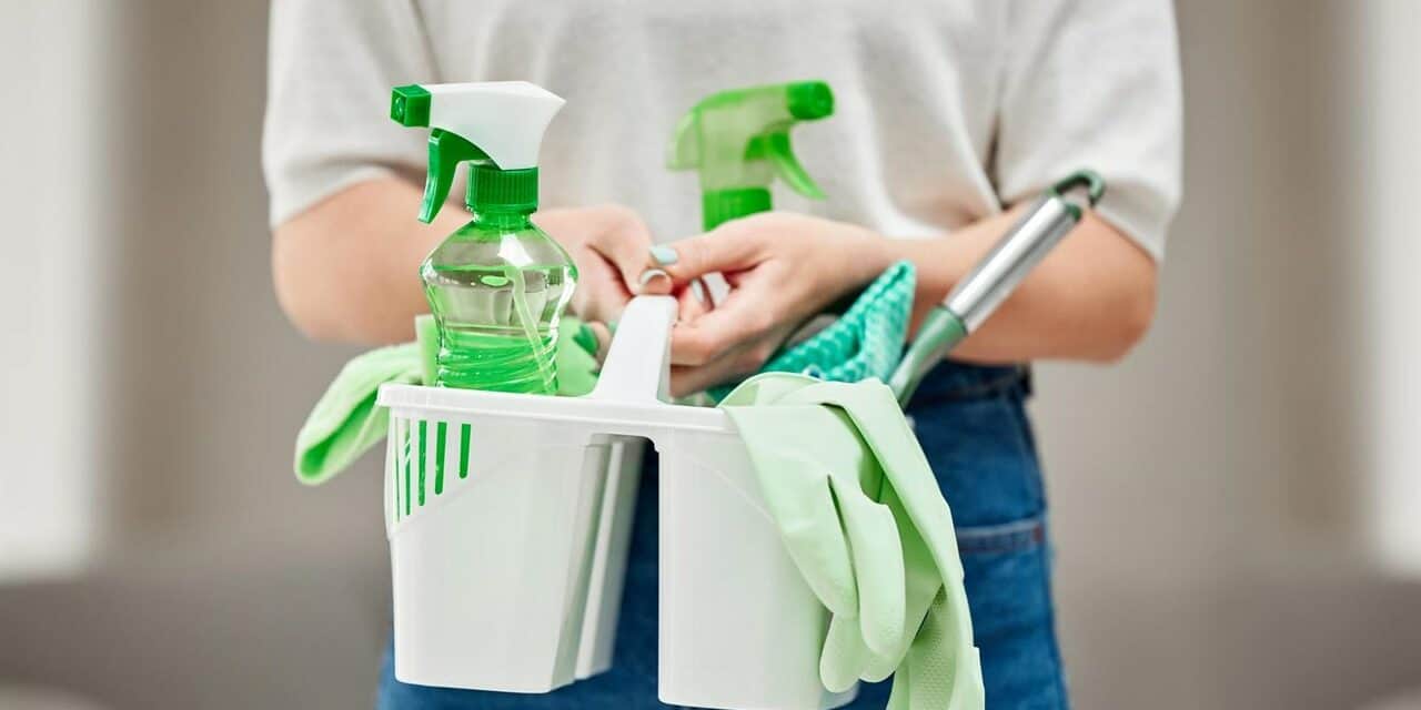 Top 10 Natural Household Cleaners | Shiny Clean Kitchen